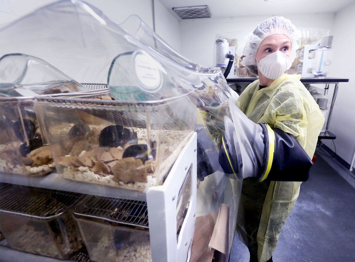 UW-Madison scientists seek to improve health, environment with ...