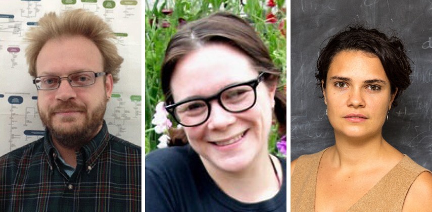 WEI's Audrey Gasch, Chris Hittinger, & Raluca Scarlat honored with ...