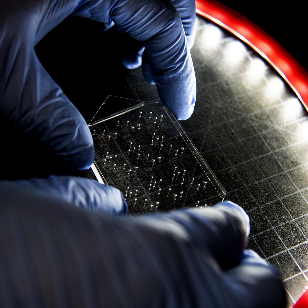 Students, researchers push boundaries of computational biochemistry ...