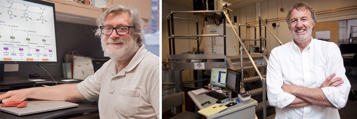 Fox and Ralph awarded DOE grant to characterize gene function in ...