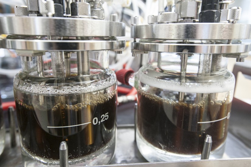 Great Lakes Bioenergy Research Center leads the drive toward a ...