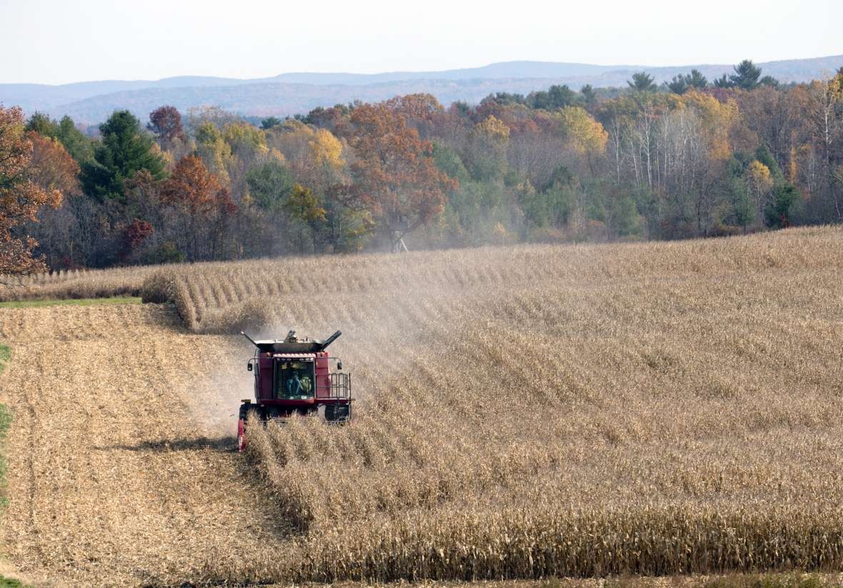 Small Prairie Plantings Bring Big Rewards In Midwest Farm Fields ...