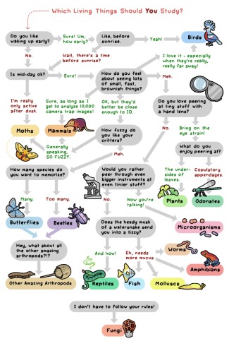 Which living things should you study? | Wisconsin Energy Institute