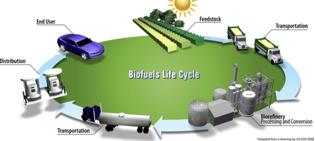 Quantitative Modeling of Biofuels Life Cycles | Wisconsin Energy Institute