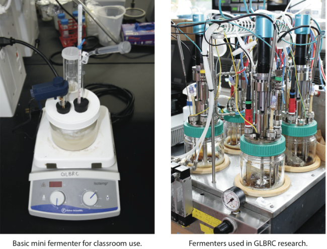Mini Fermenter | Wisconsin Energy Institute
