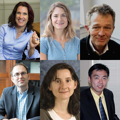 Energy Experts Among Uw Madison Faculty Awarded Faculty Fellowships